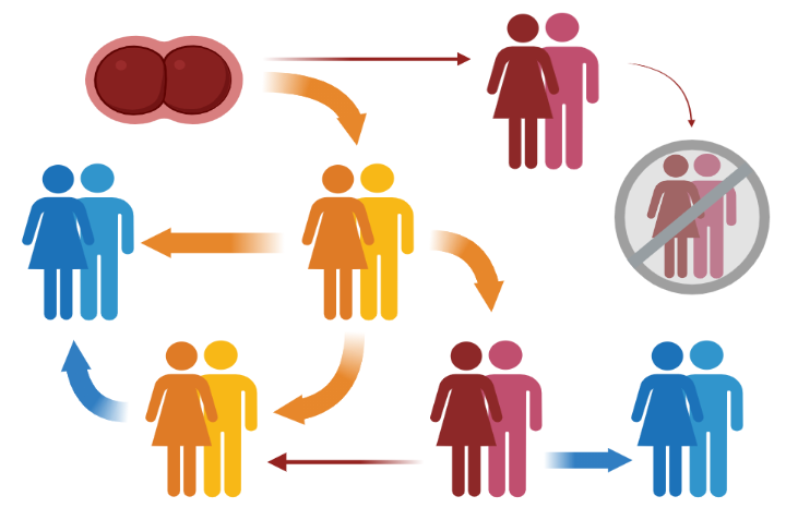 Introduction to Invasive Meningococcal Disease (IMD) | maidenlab